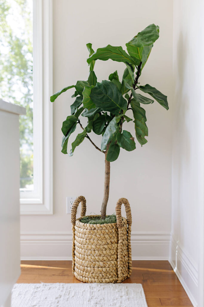 Design Build Services | Level 2 Design Build